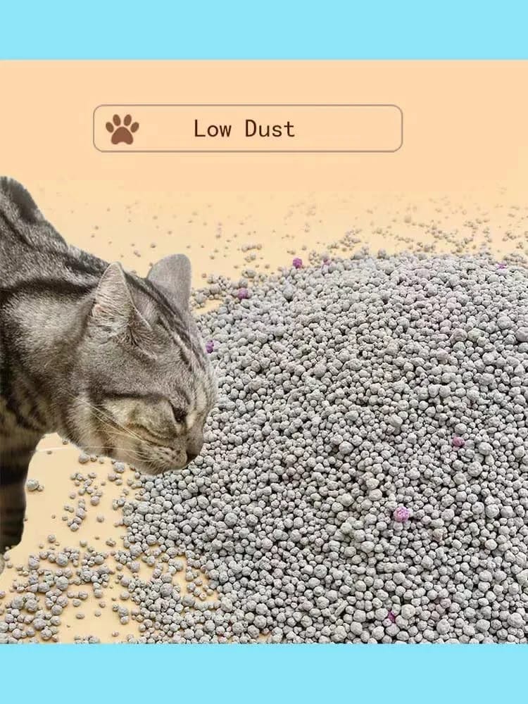 CatchCat Bentonite Cat Litter Rose 10L | Mew Mew Shop BD