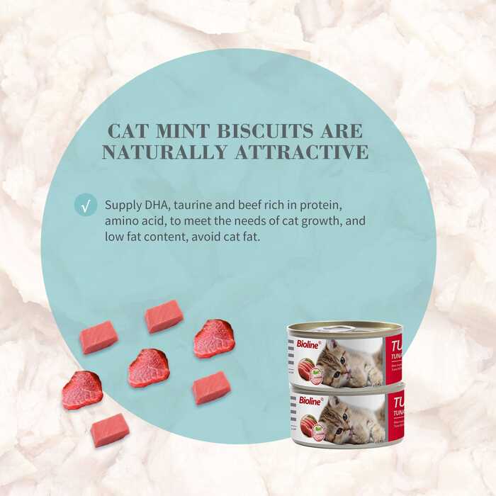 Bioline Tuna & Beef Canned Wet Food for Cat 85g | Mew Mew Shop BD