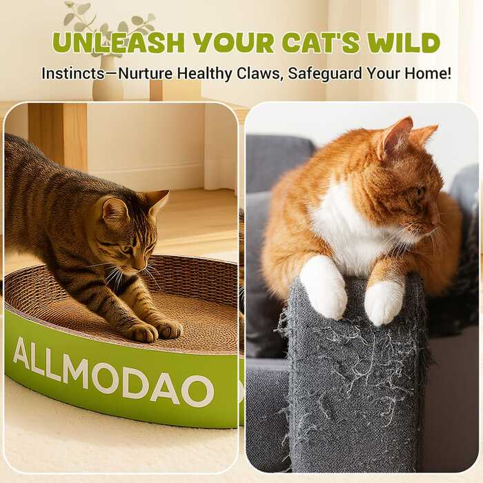 Premium Oval Shape Pet Cat Cardboard Scratcher for Pet Cats & Kittens ...