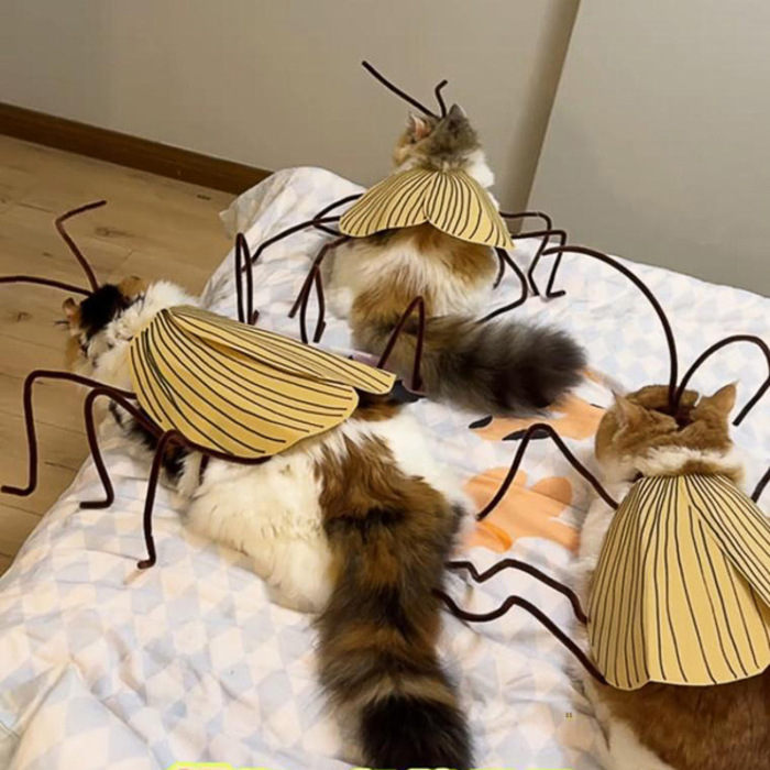 Cat Cosplay Dress Up Cockroach Costume/Clothing Funny Party Decor ...