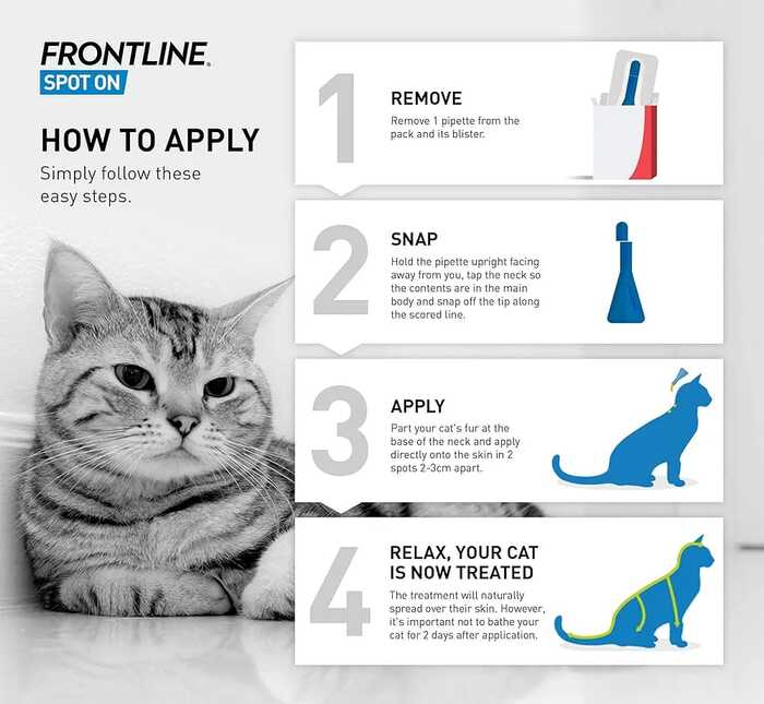 FRONTLINE Plus Spot On for Cats - Flea and Tick Protection - 1 Pipette ...