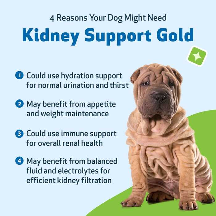 Pet Wellbeing Kidney Support Gold for Dogs & Cats | Mew Mew Shop BD