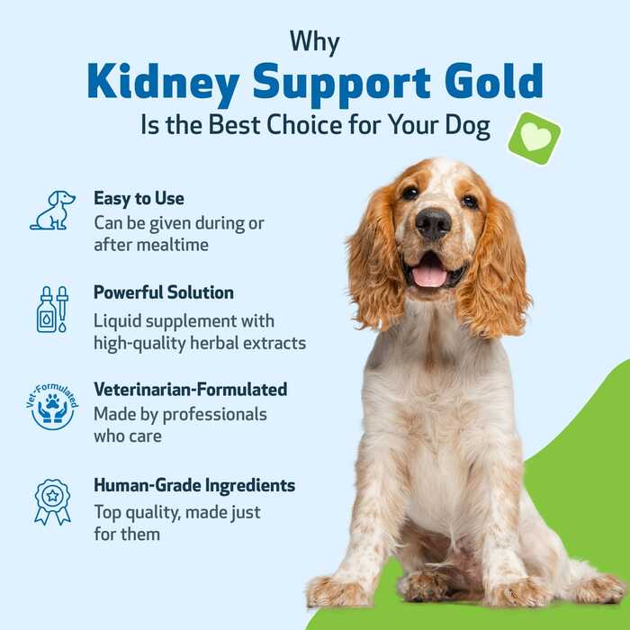 Pet Wellbeing Kidney Support Gold for Dogs & Cats | Mew Mew Shop BD